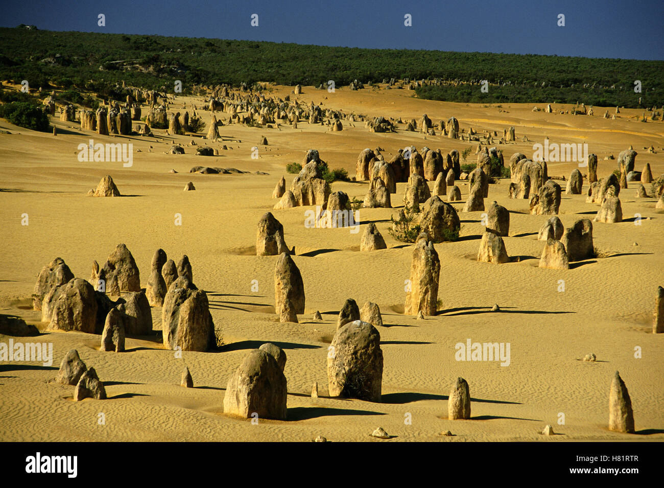 The Pinnacles, Nambung National Park, Western Australia Stock Photo - Alamy