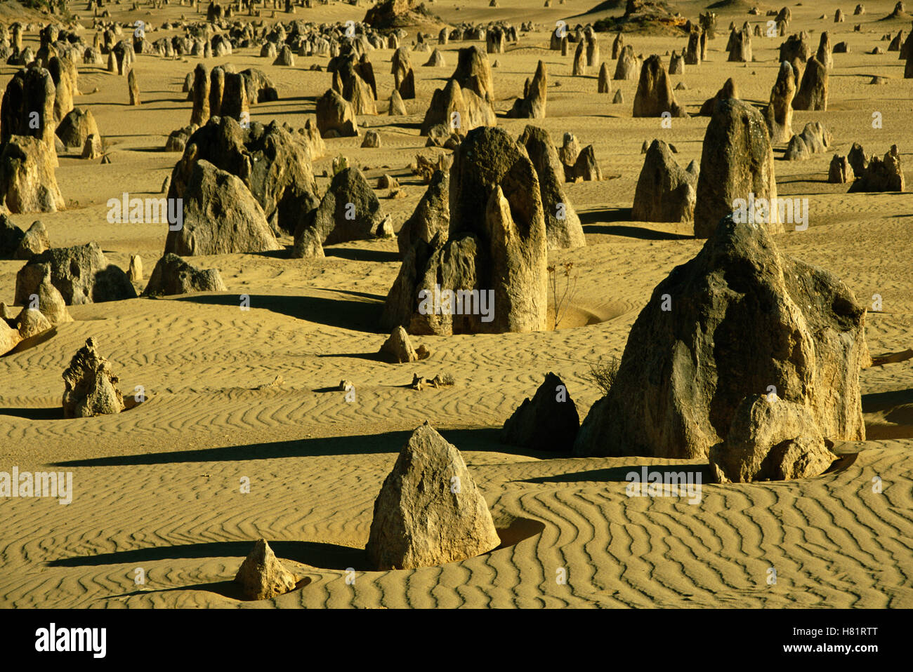 The Pinnacles, Nambung National Park, Western Australia Stock Photo - Alamy