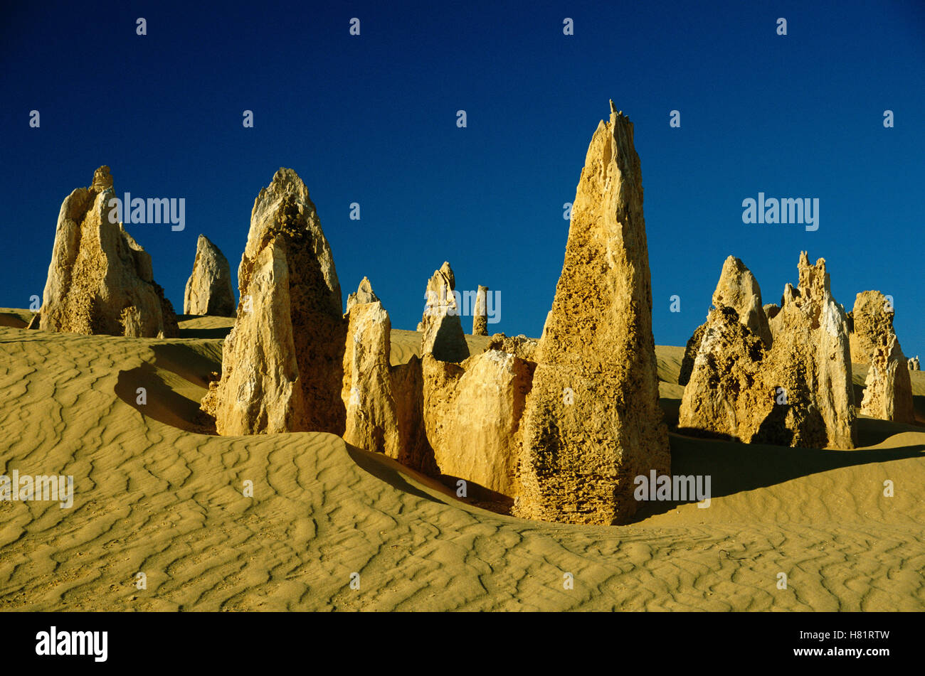 The Pinnacles, Nambung National Park, Western Australia Stock Photo - Alamy