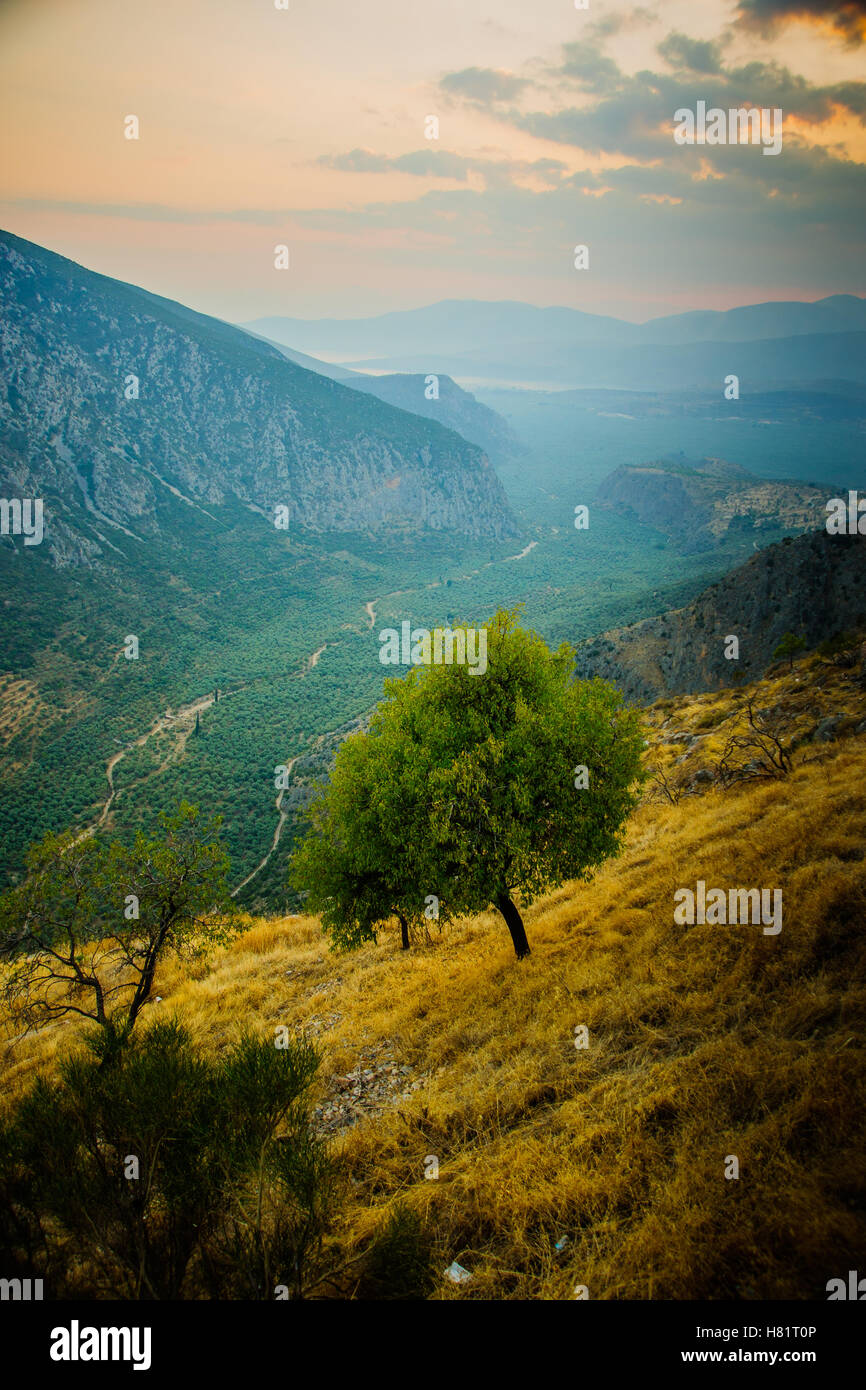 Valley near delphi, Greece Stock Photo - Alamy