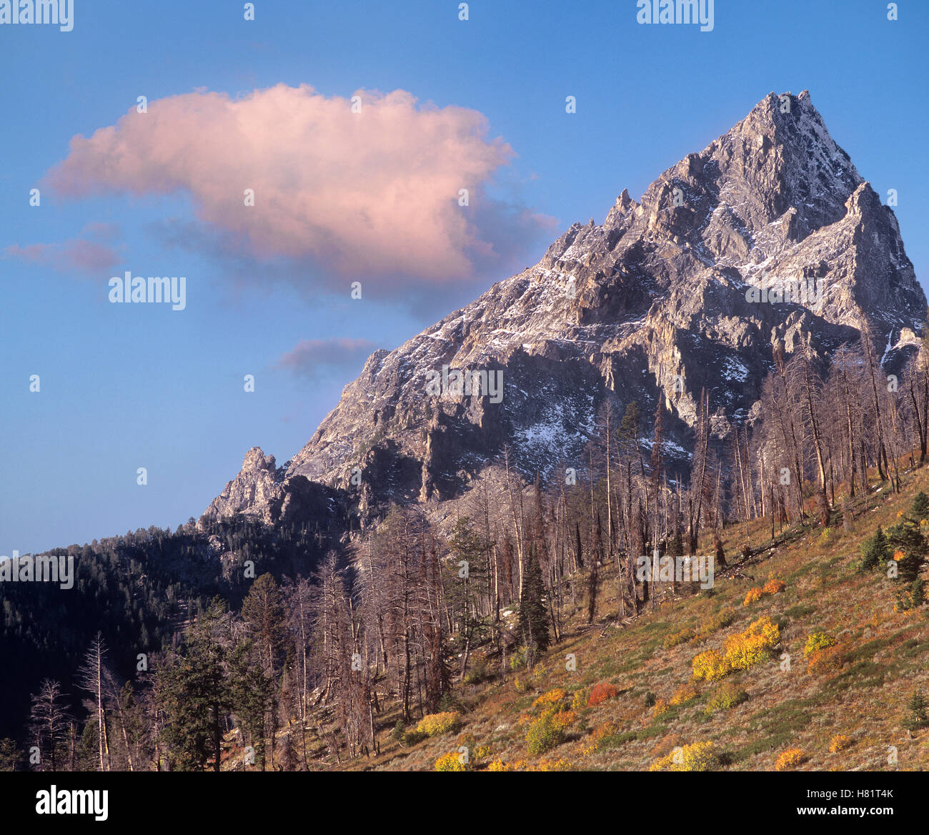 Fire damage on Grand Teton, Grand Teton National Park, Wyoming Stock ...
