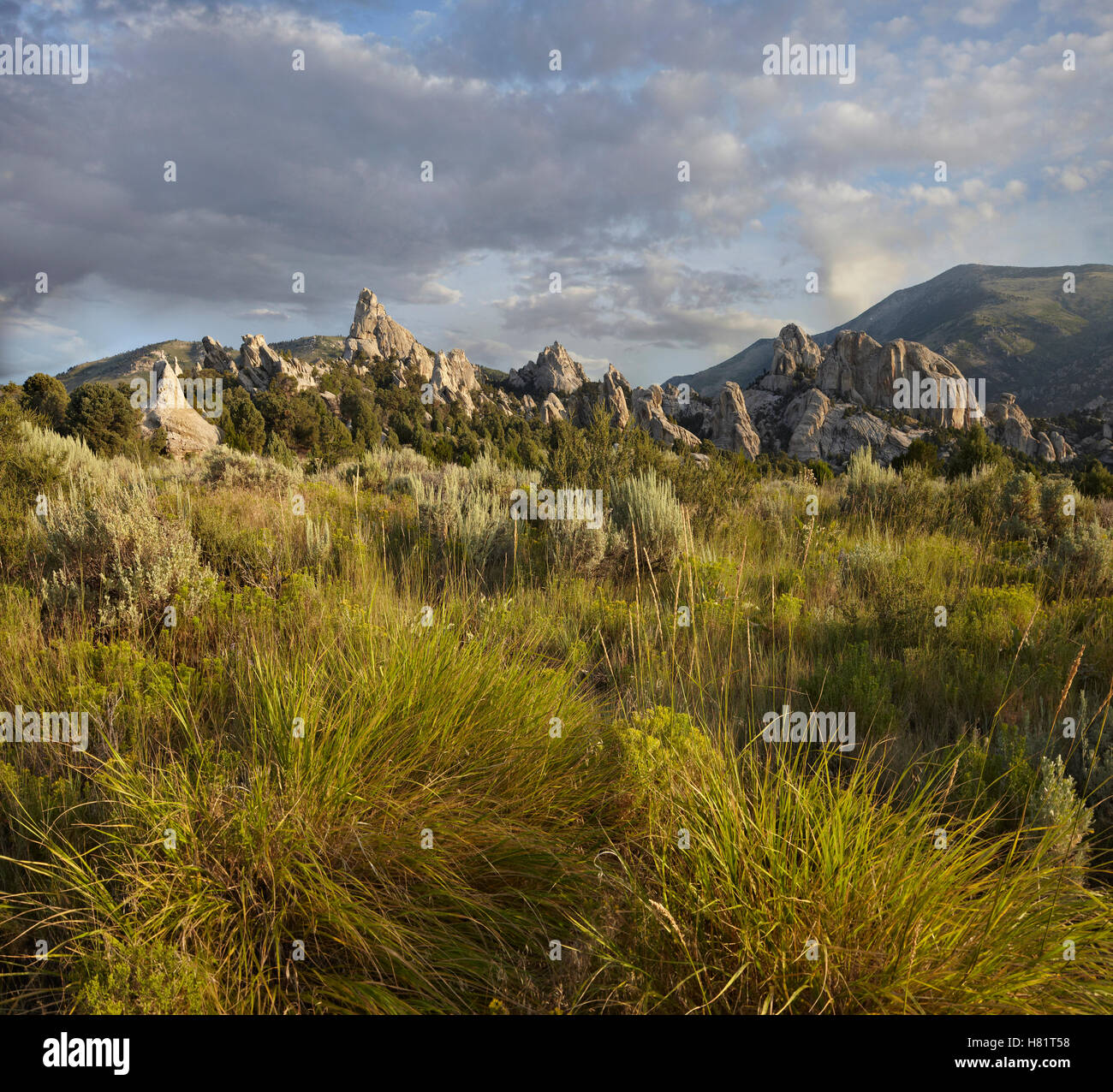 Shrubland and granite formations, Castle Rocks State Park, Idaho Stock ...