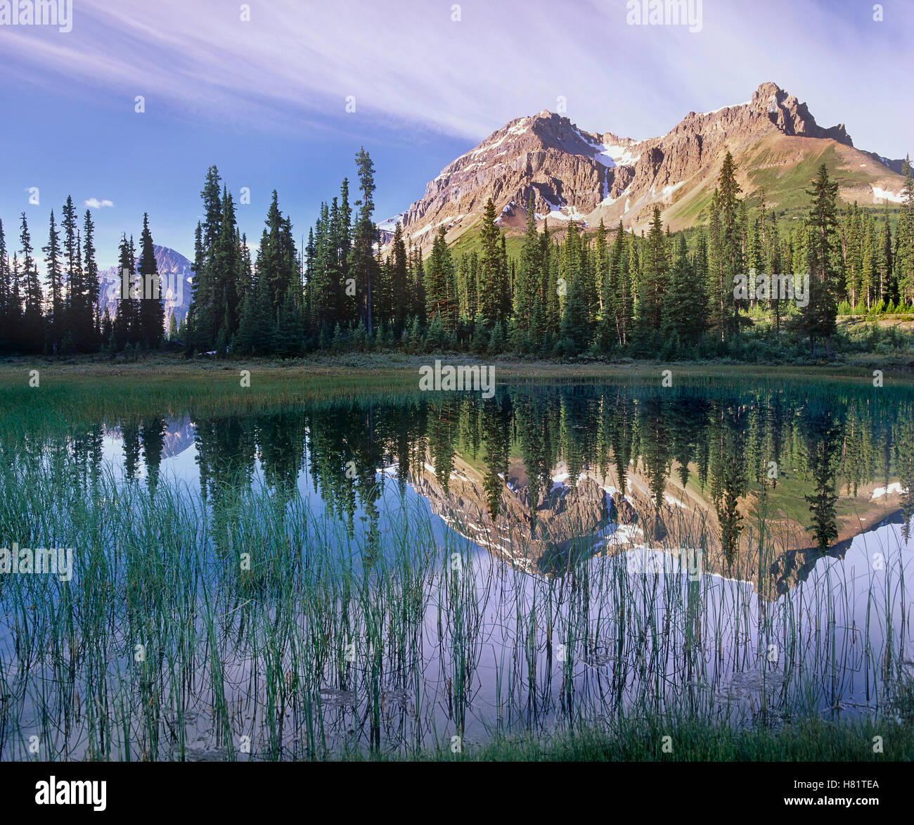 Mount Jimmy Simpson reflected in pond, Banff National Park, Alberta ...