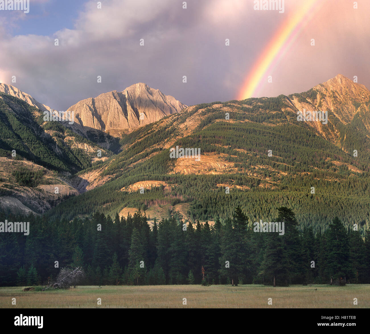 Rainbow over Colin Range, Jasper National Park, Alberta, Canada Stock ...