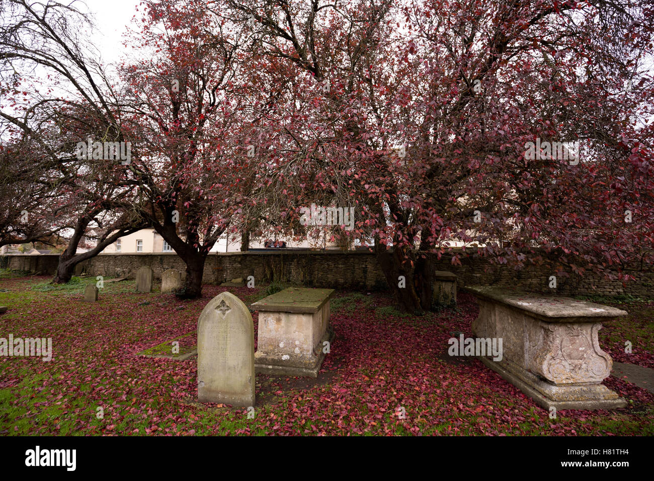 Graveyard of Tetbury Church. Parish Church of St Mary the Virgin and St ...