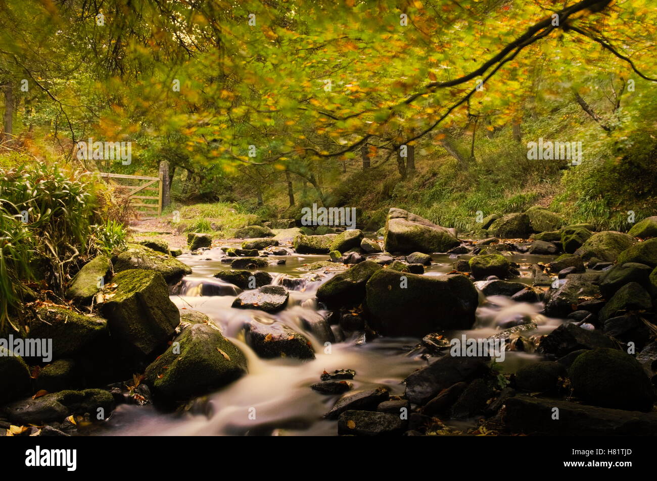 Long exposure of an autumn stream in the Peak District National Park ...