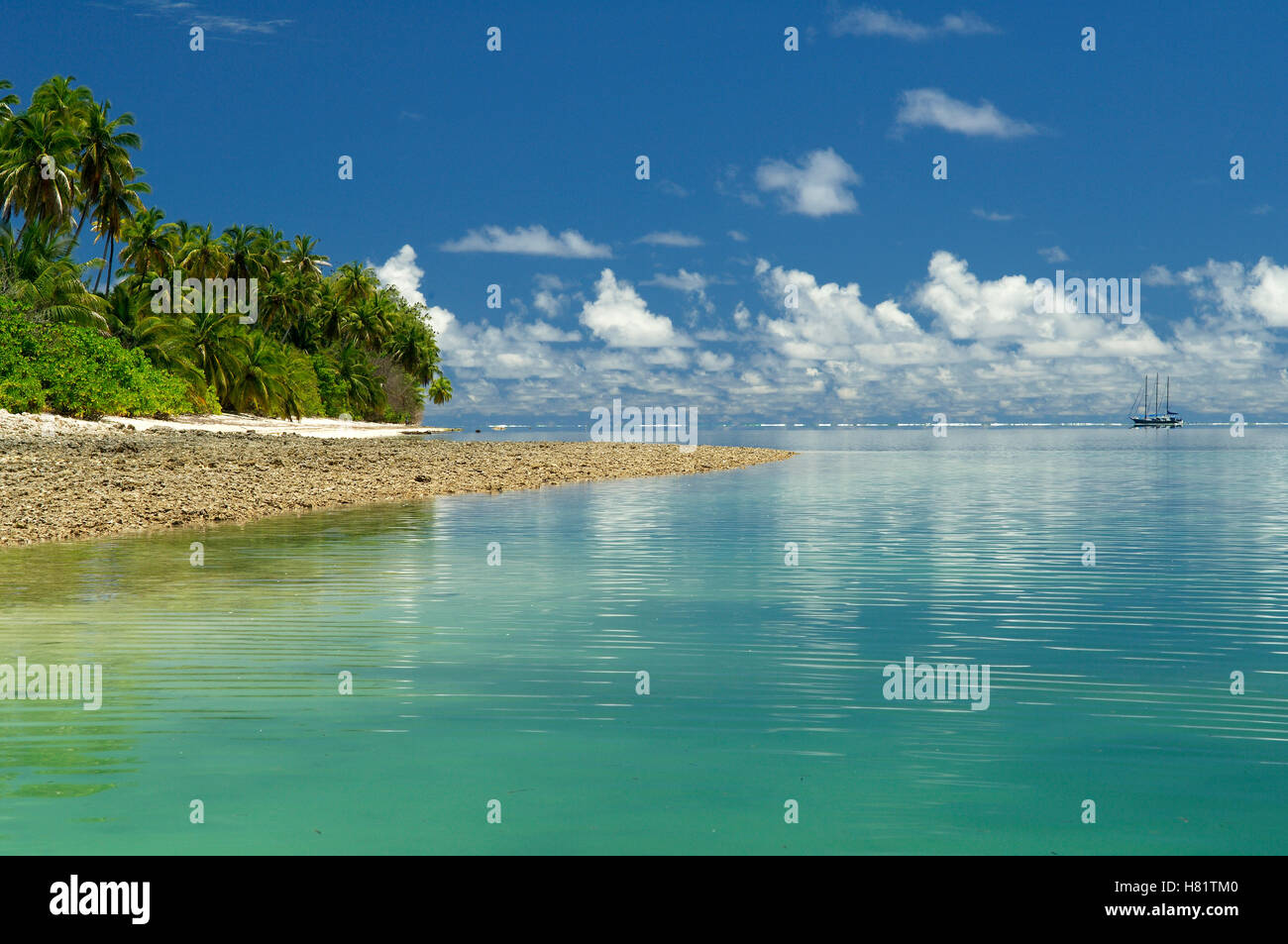 Beachscape, Alphonse Island, Seychelles Stock Photo - Alamy