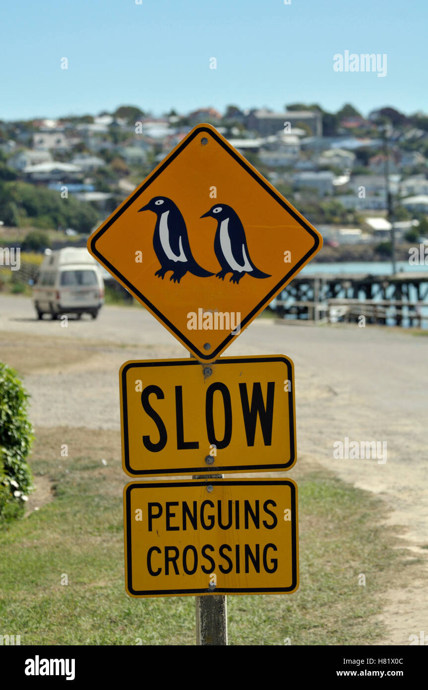Road sign warning of penguin crossing, Oamaru, New Zealand Stock Photo ...