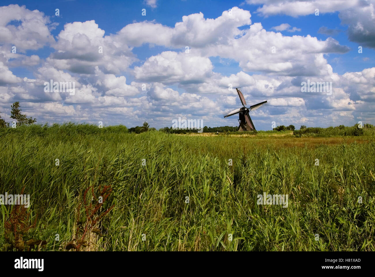 A windmill under cloudy skies, Netherlands Stock Photo - Alamy