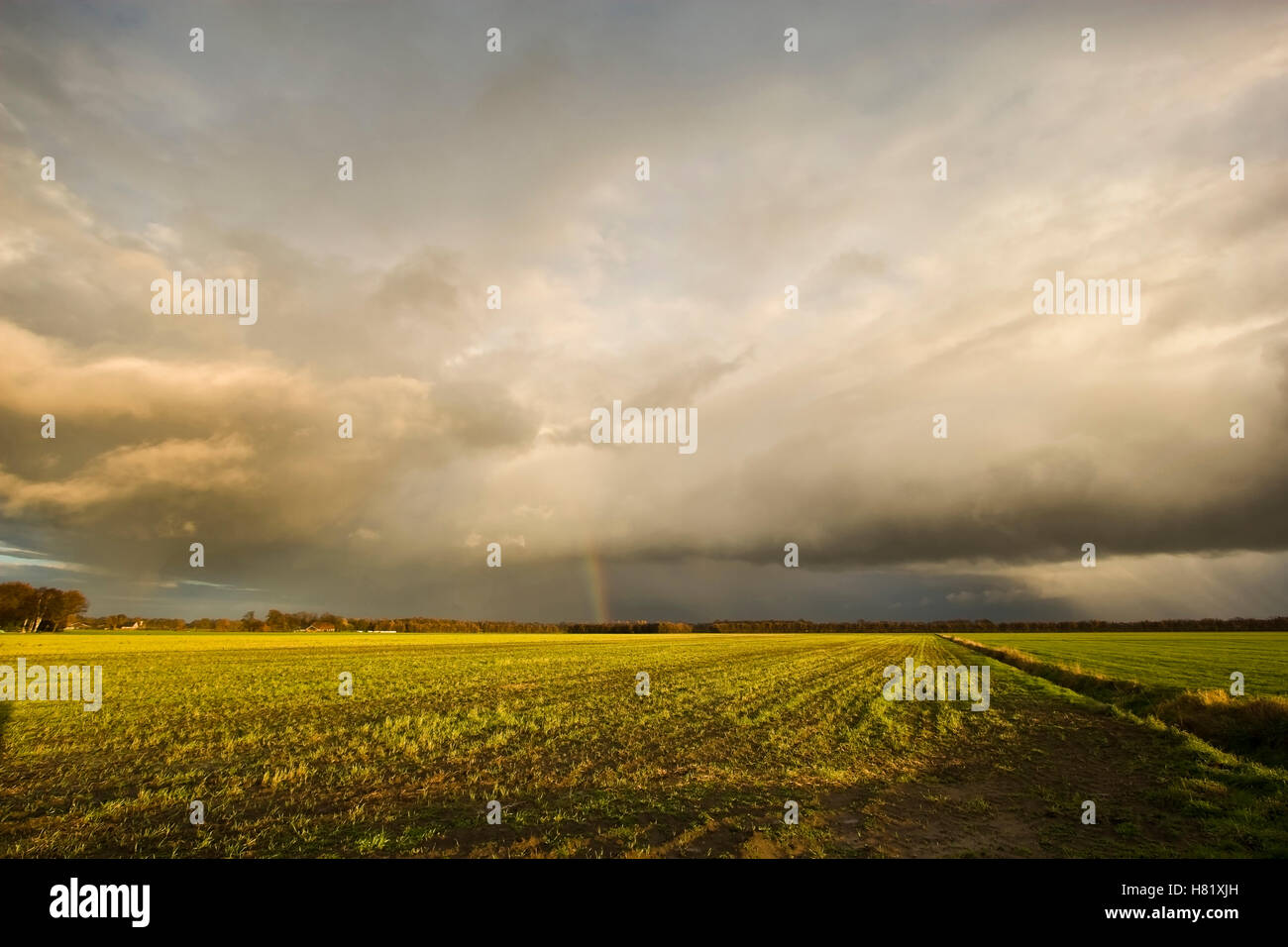Stormy landscape over fields, Haaksbergen, Netherlands Stock Photo - Alamy