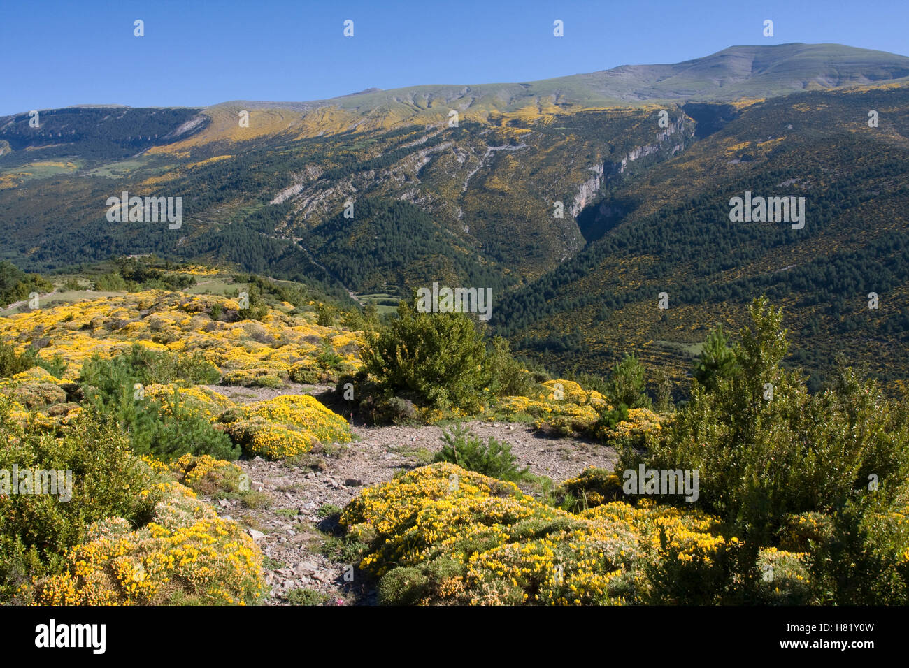 Monte Perdido landscape, Broto, Ordesa National Park, Spain Stock Photo ...