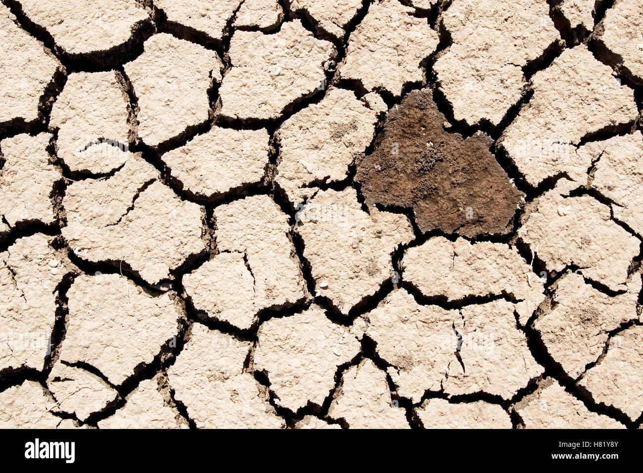 Cracked mud, Lesbos, Greece Stock Photo - Alamy
