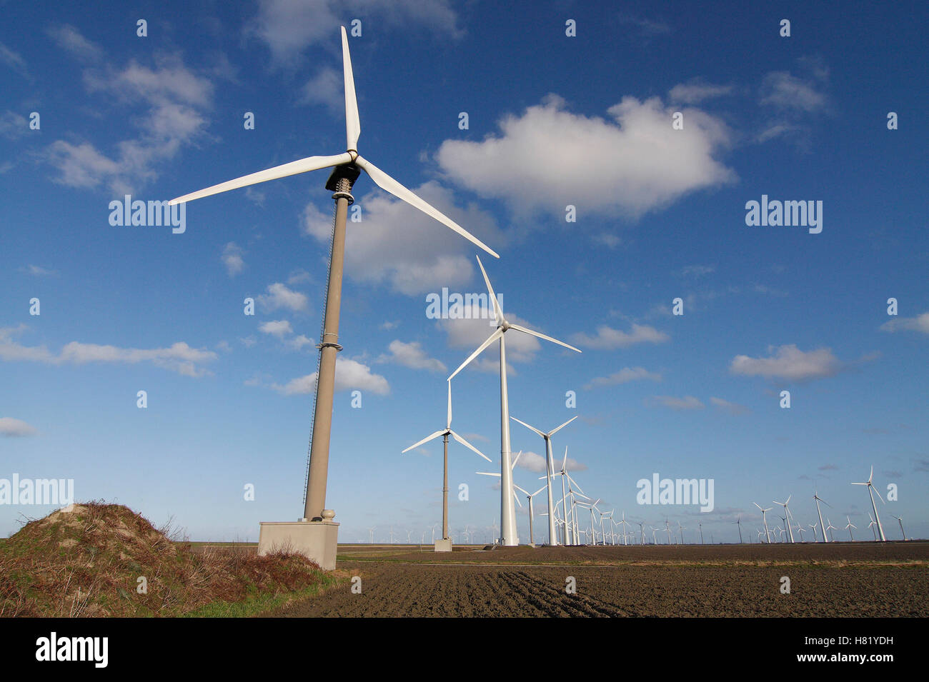 Wind turbines, Wadden Sea, Netherlands Stock Photo - Alamy