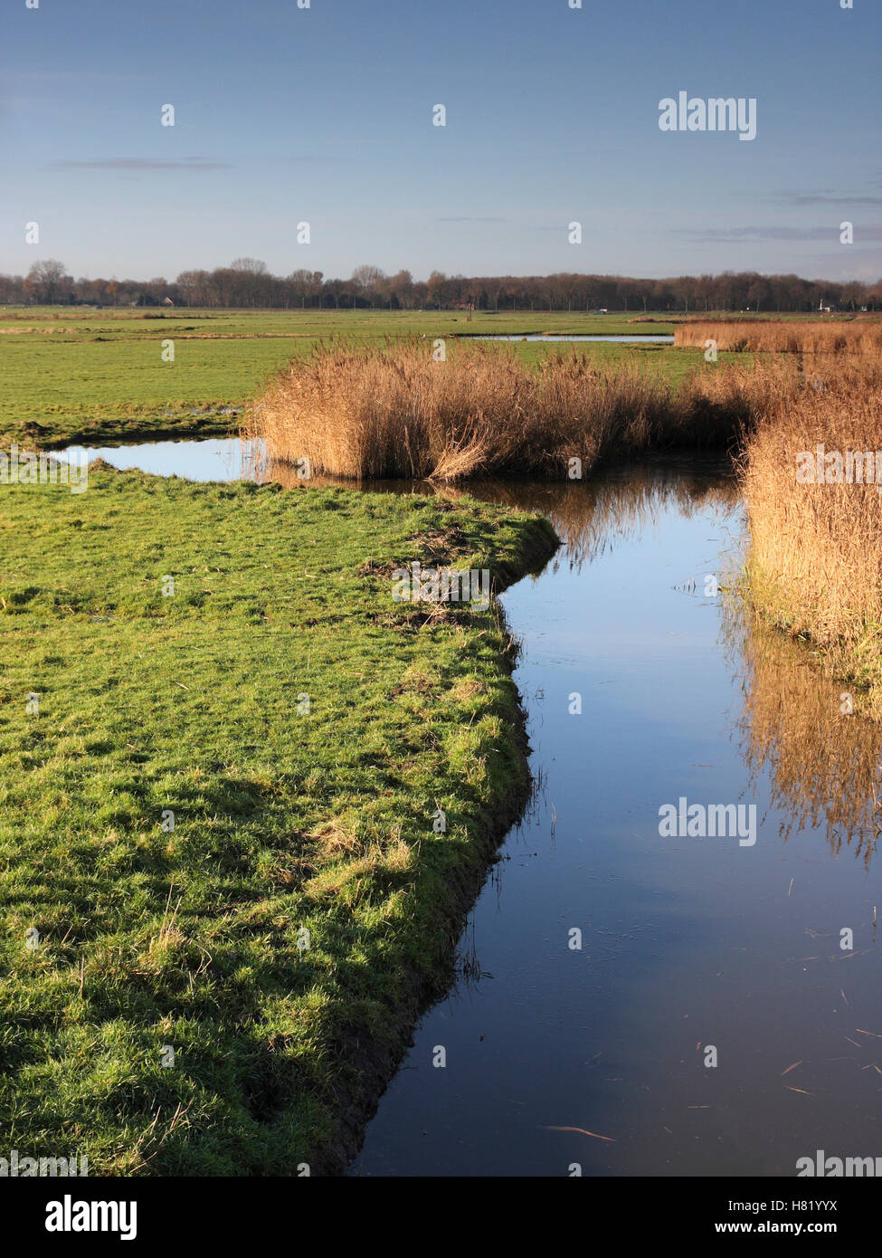 Small lakes formed where dikes gave way to the ocean, Eemnes ...
