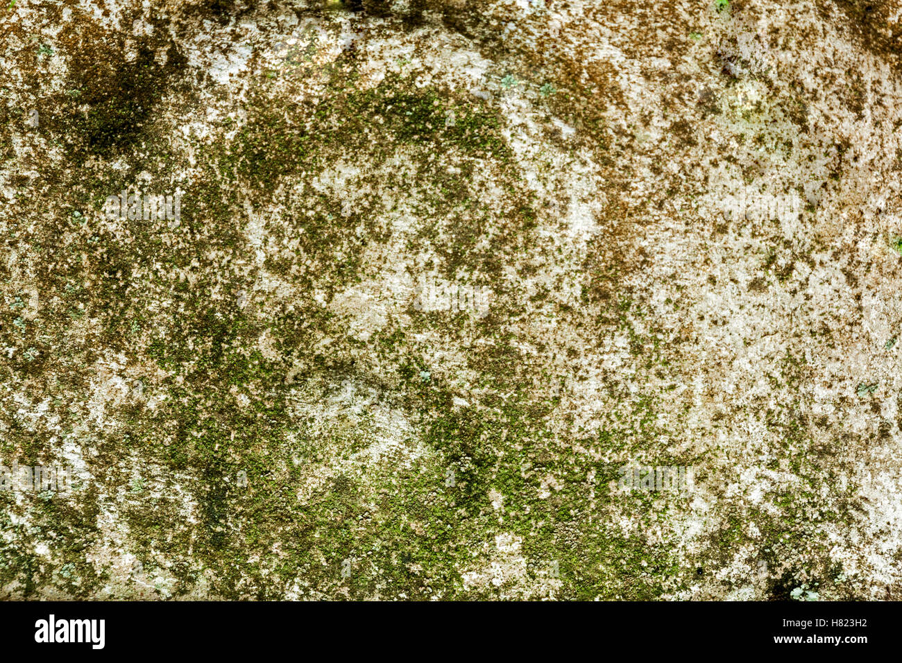 Decay textures patterns hi-res stock photography and images - Alamy
