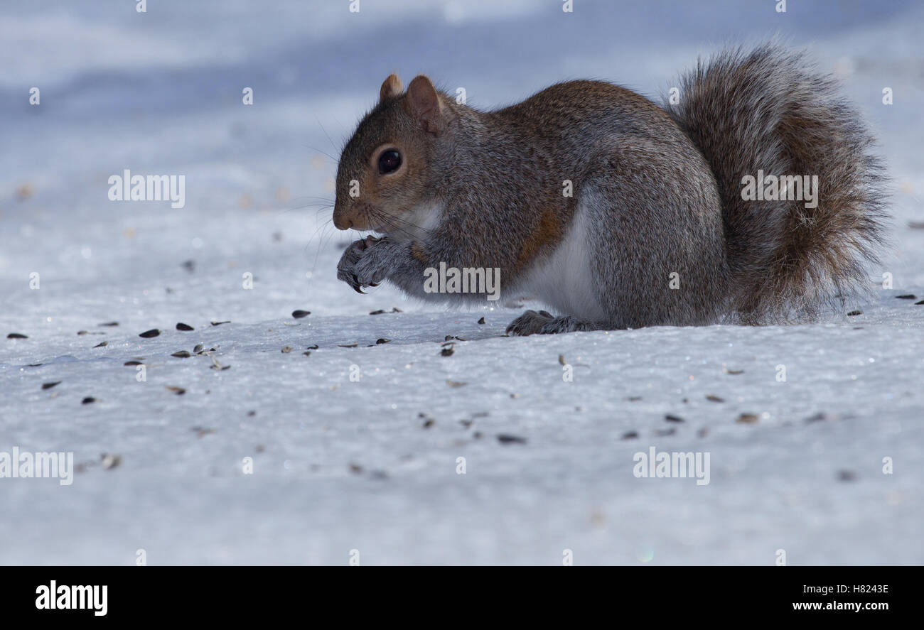 Slight slope hi-res stock photography and images - Alamy