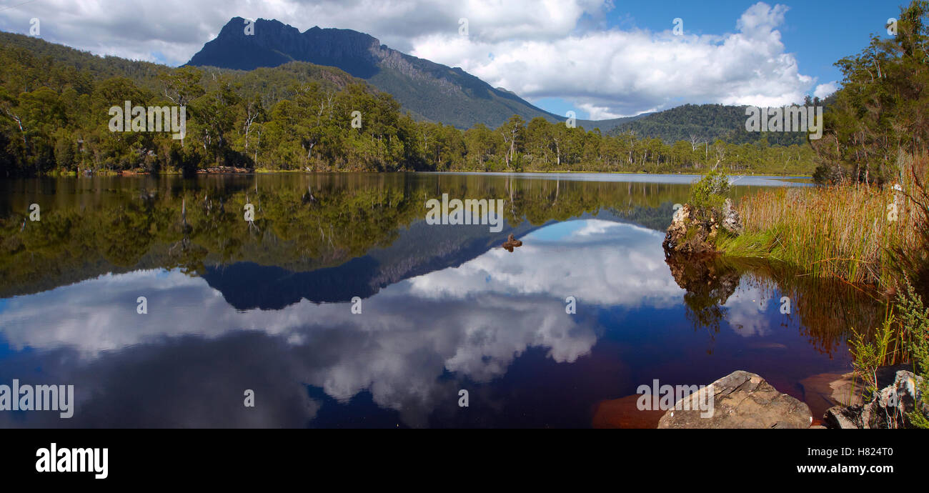 Badger River, southwest Tasmania, Australia Stock Photo - Alamy