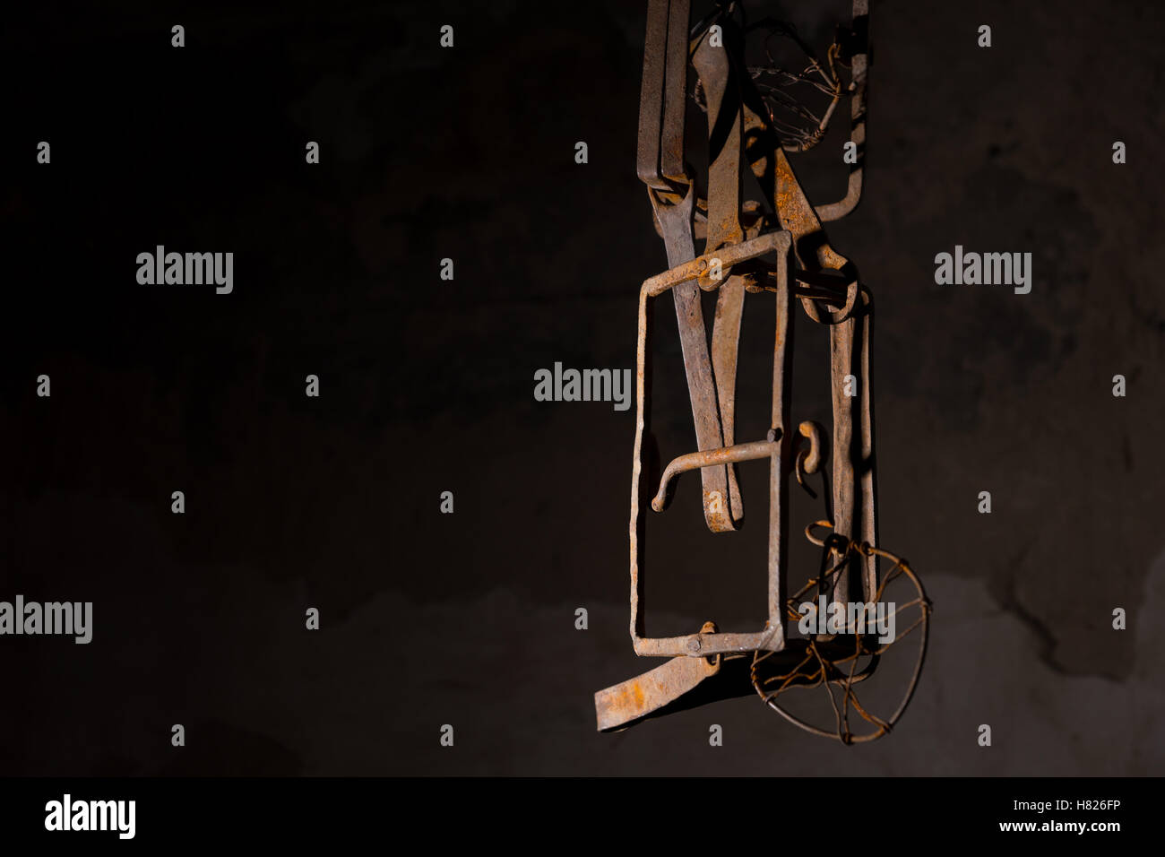 Trap hanging in basement in a Halloween horror concept Stock Photo - Alamy
