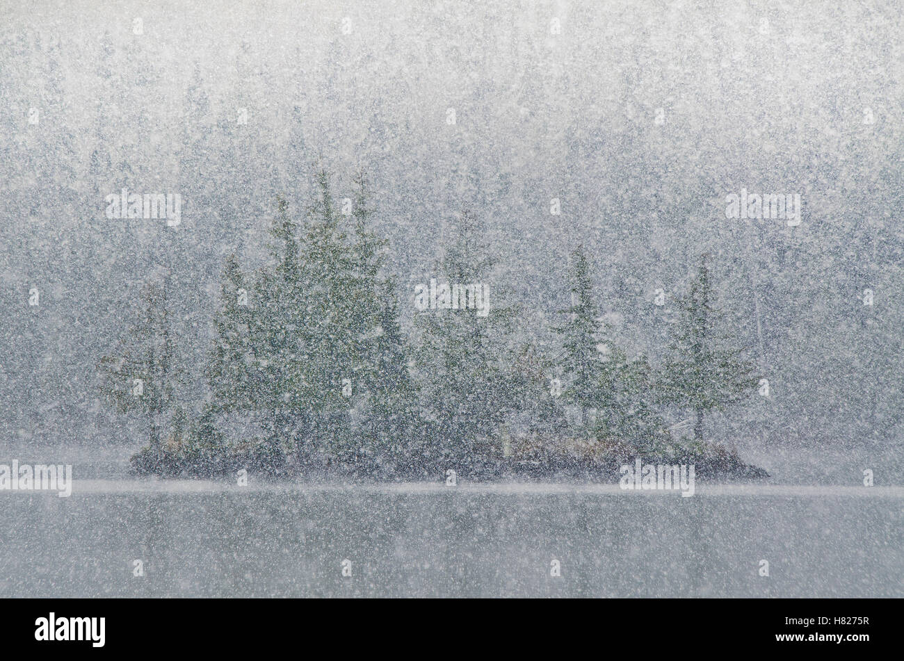 Island in first snowfall, Minnesota Stock Photo - Alamy
