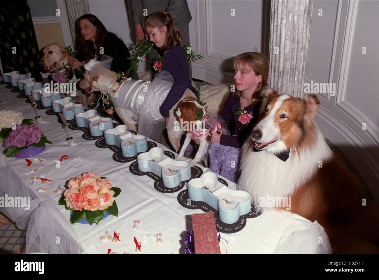 DOGS EAT AT WEDDING RECEPTION LOS ANGELES USA 14 February 2000 Stock ...