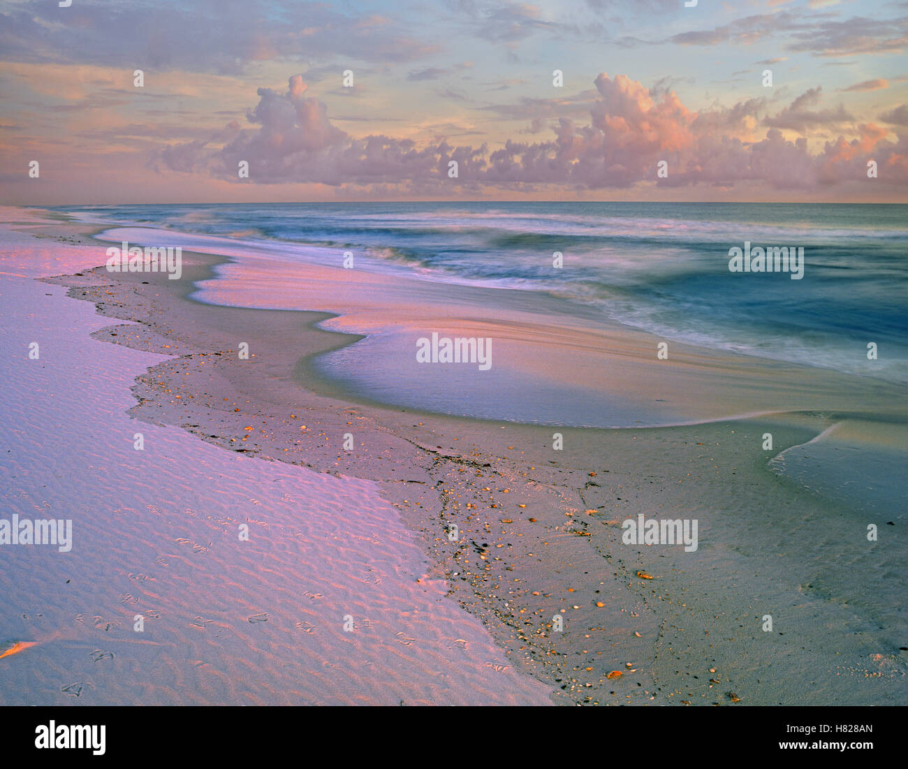 Beach at sunrise, Gulf Islands National Seashore, Florida Stock Photo ...