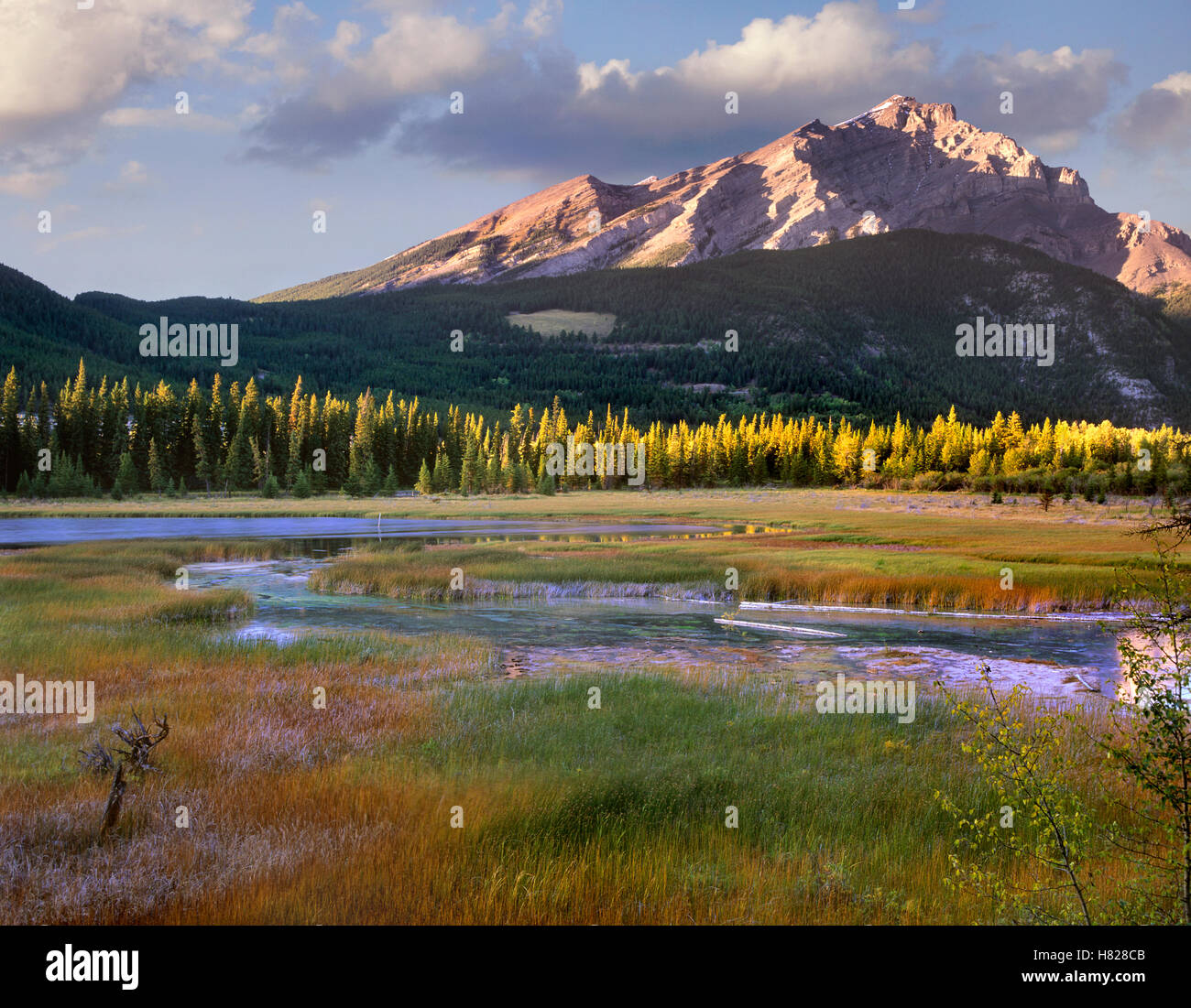 Cascade Mountains, Banff National Park, Alberta, Canada Stock Photo - Alamy