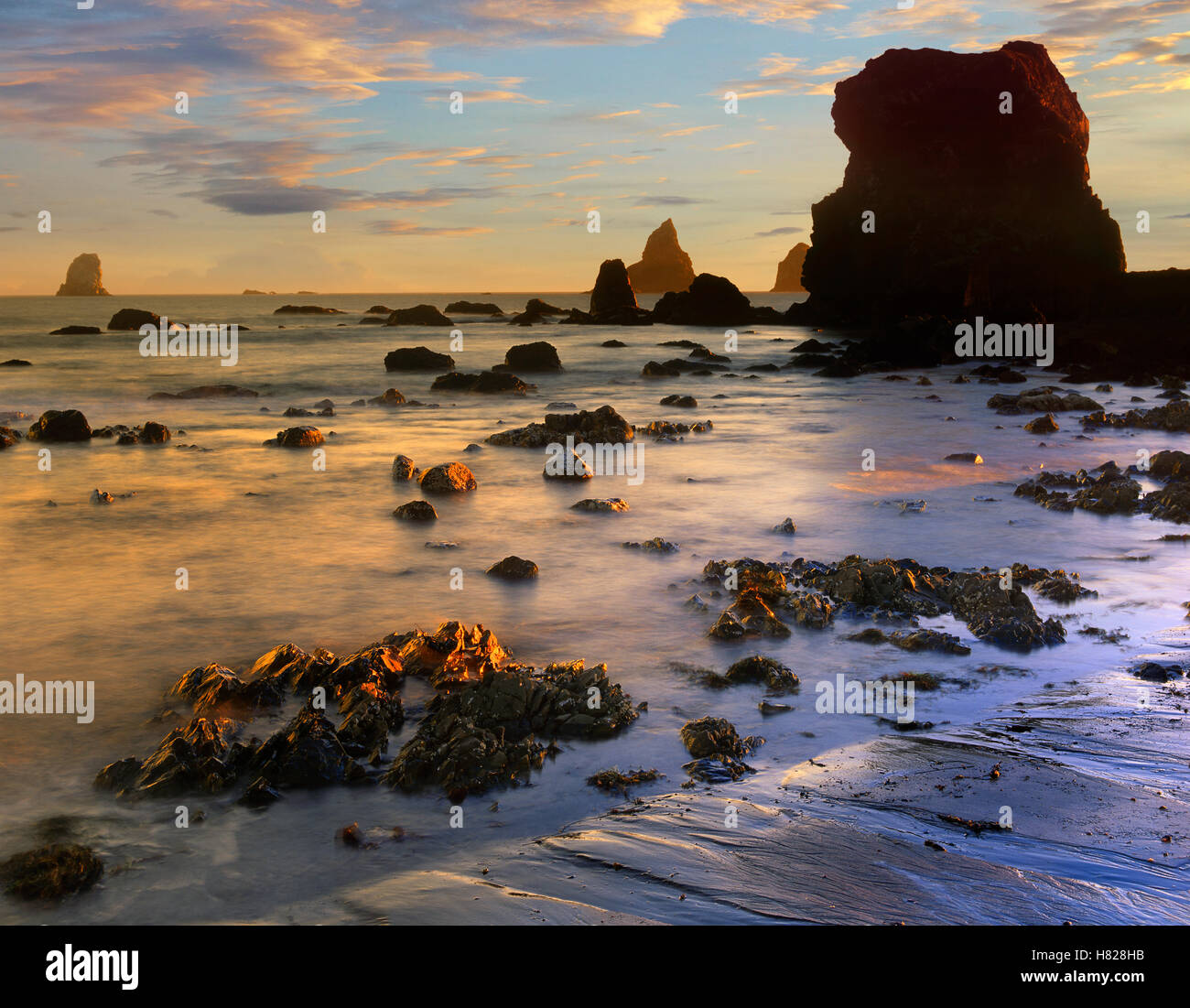 Seastacks, Lone Ranch Beach, Oregon Stock Photo - Alamy