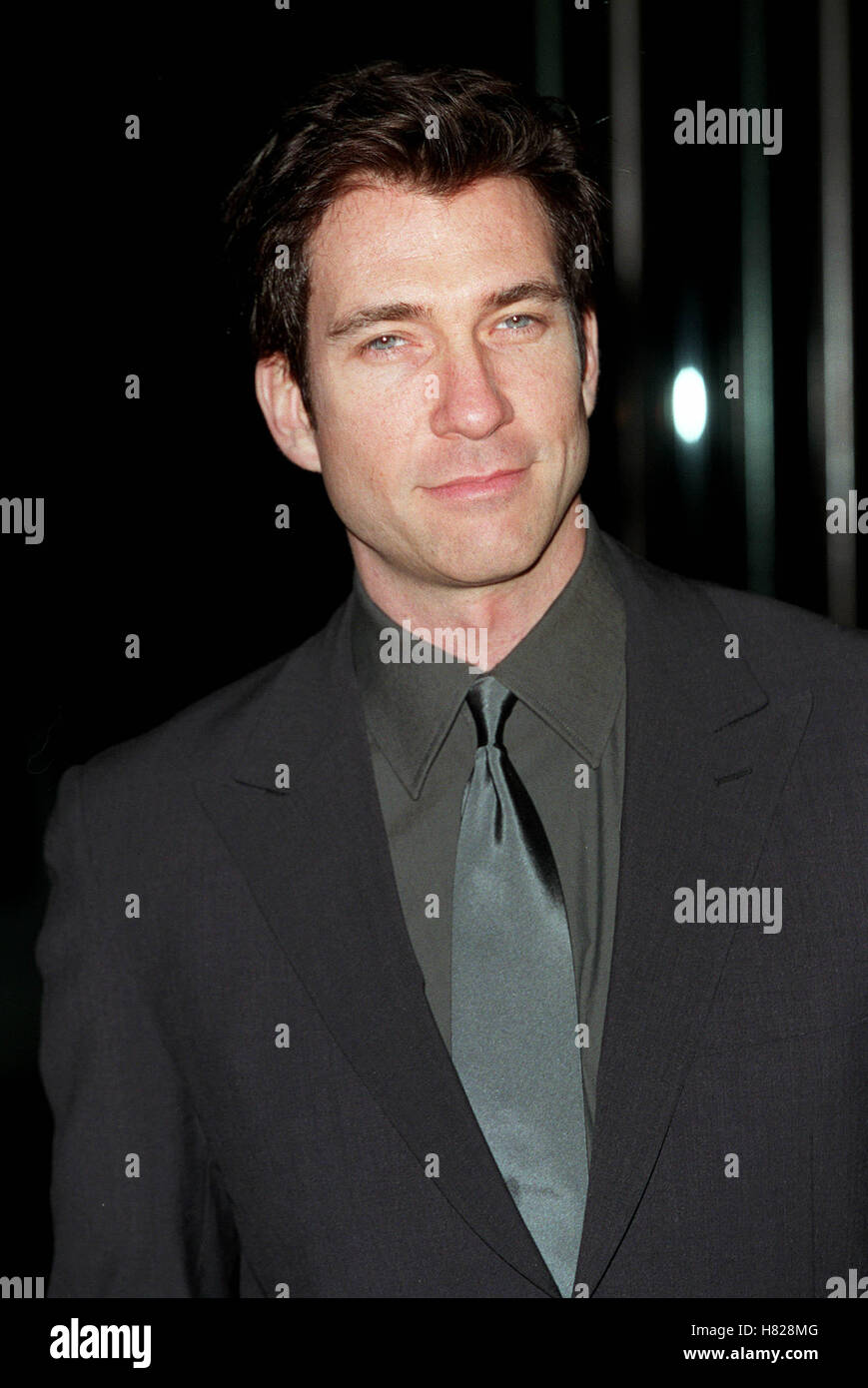 Dylan Mcdermott 20s