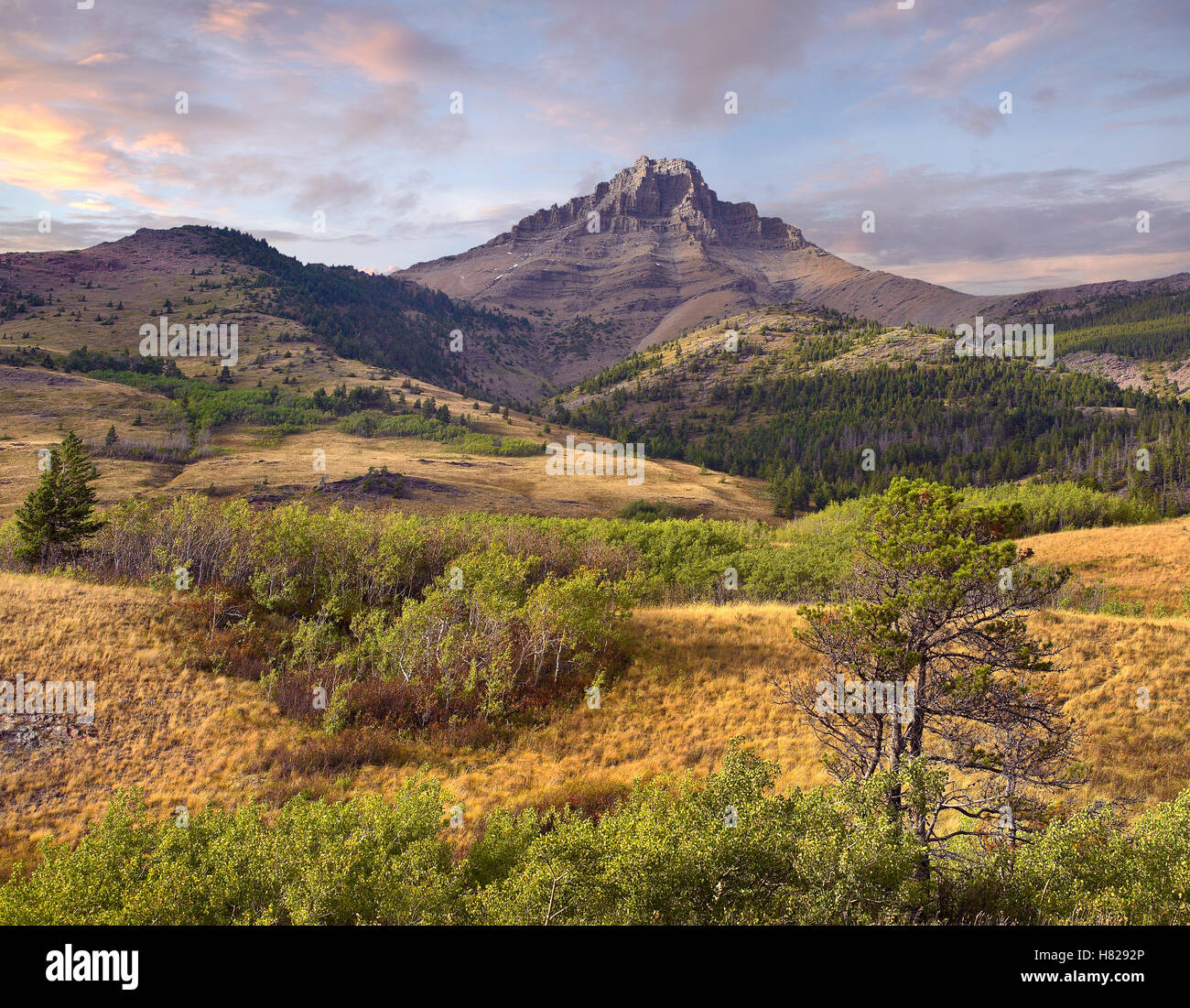 Mount Galwey, Waterton Lakes National Park, Canada Stock Photo - Alamy