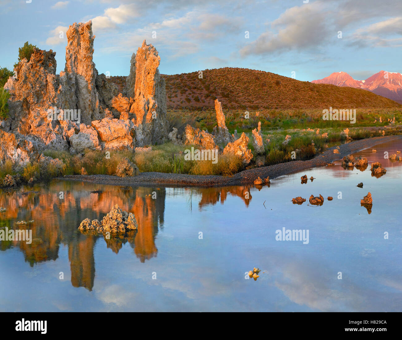 Tufa at Mono Lake, Sierra Nevada, California Stock Photo - Alamy