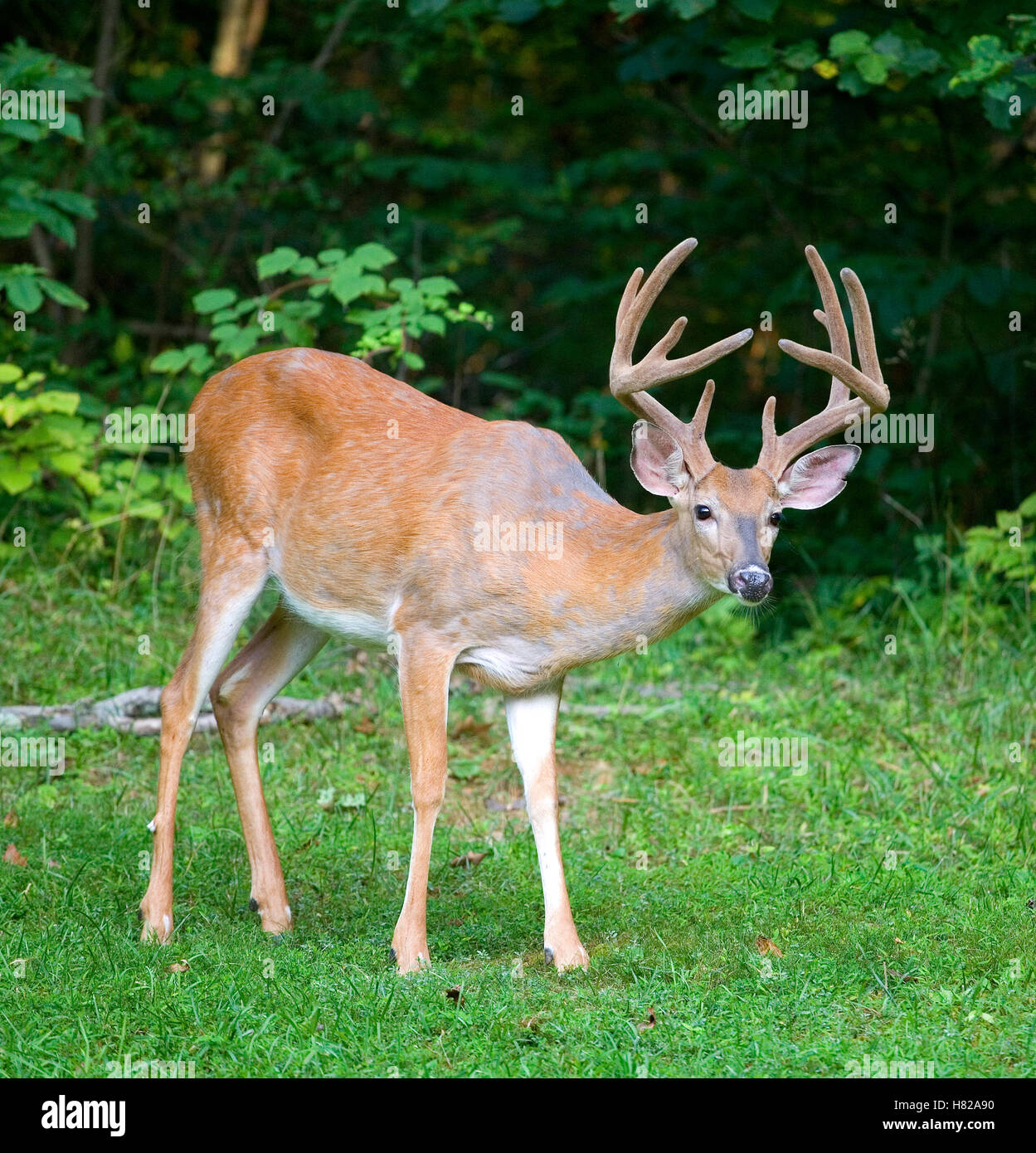 Slight movement hi-res stock photography and images - Alamy