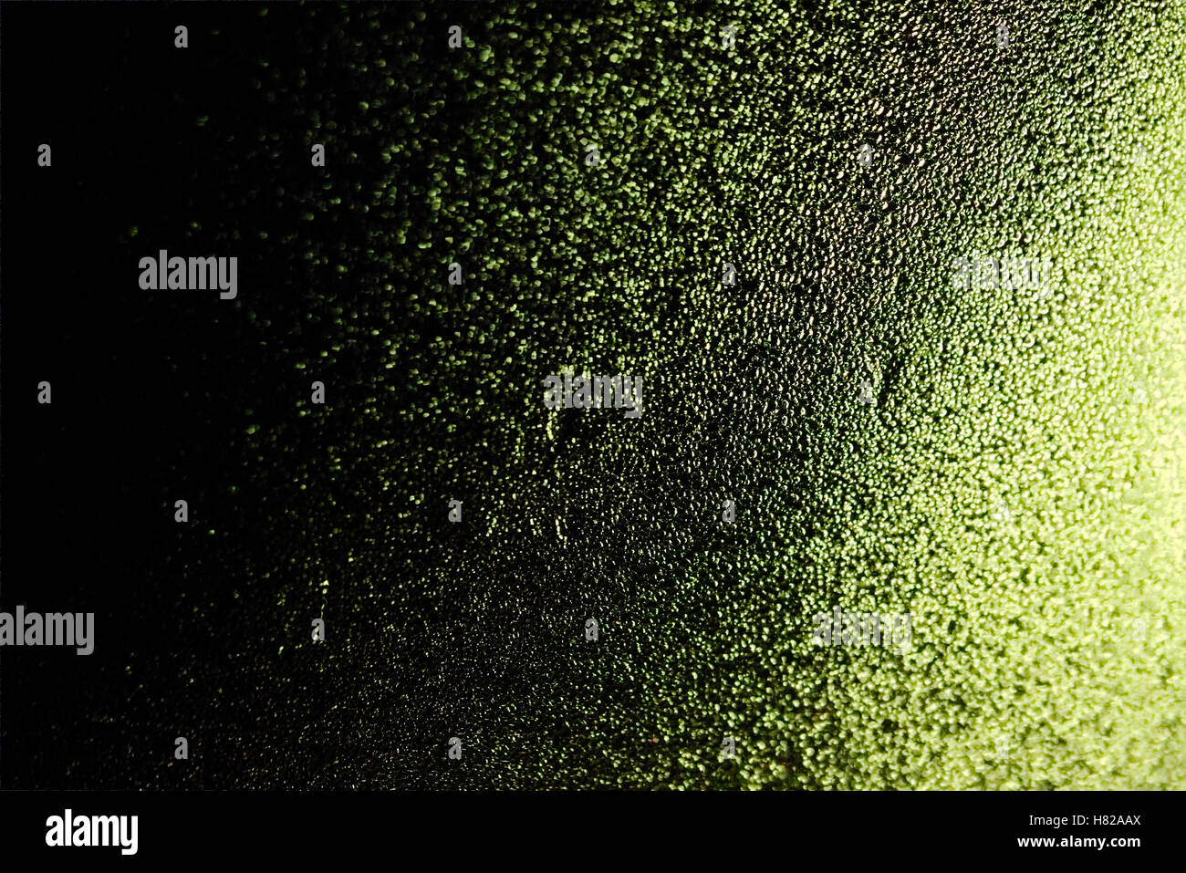 Abstract light effects on a wet glass pane with water drops Stock Photo ...