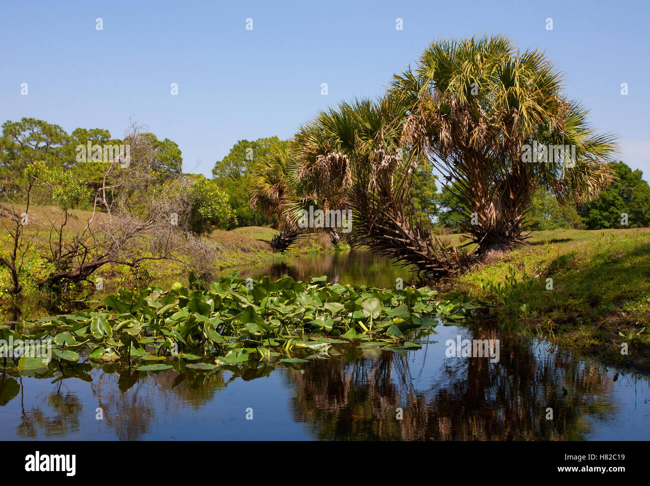 Clogged water channel hi-res stock photography and images - Alamy