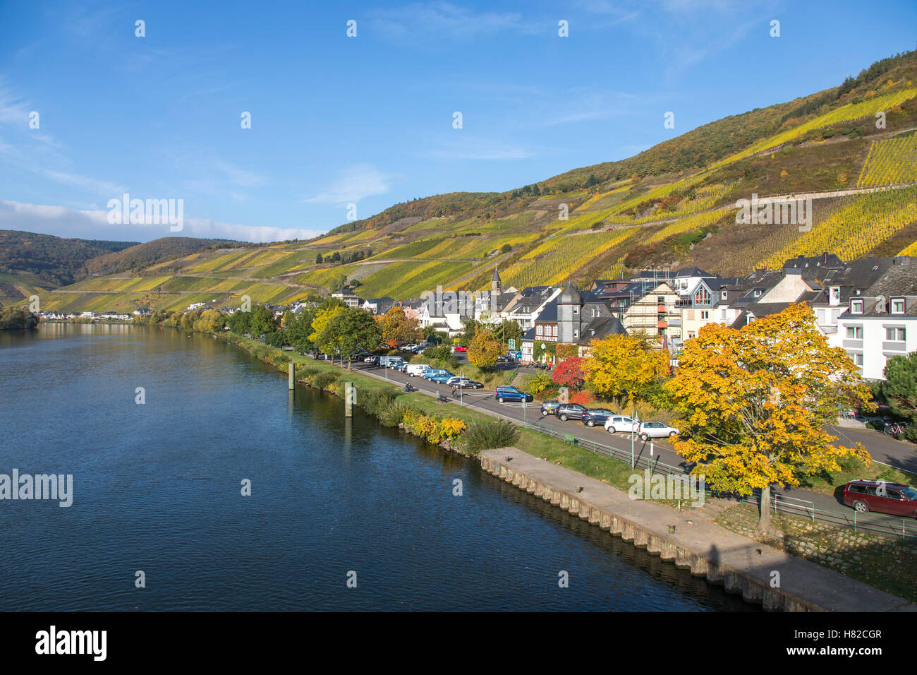 Moselle valley, Moselle river, vineyards, village Zell, Germany Stock ...