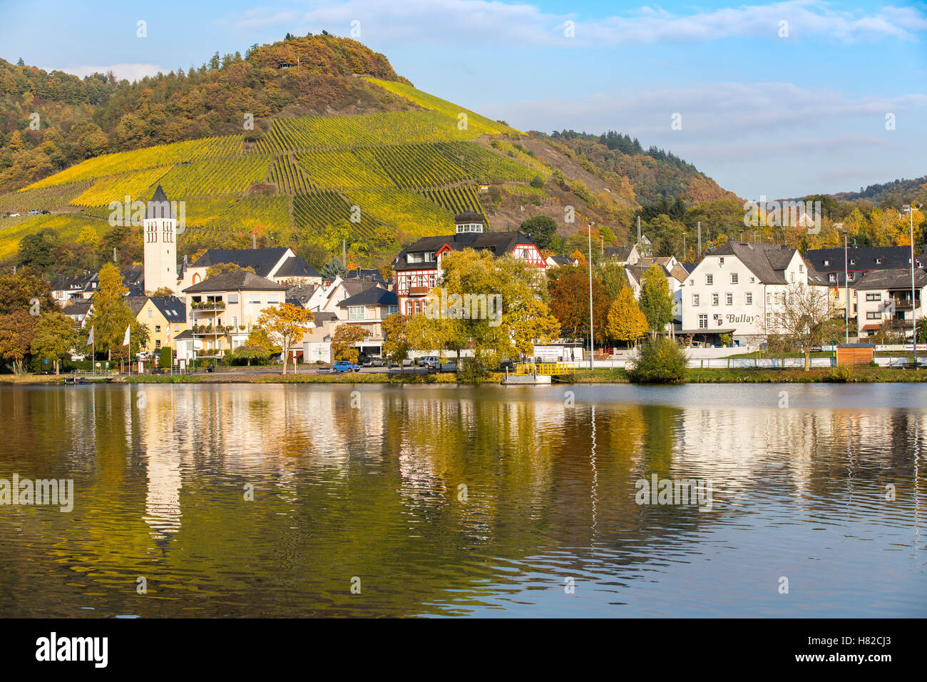 Moselle valley, Moselle river, vineyards, village Bullay, Germany Stock ...