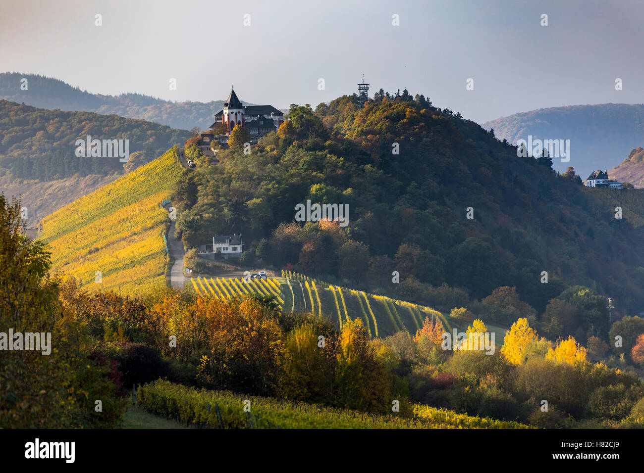 Bullay hi-res stock photography and images - Alamy