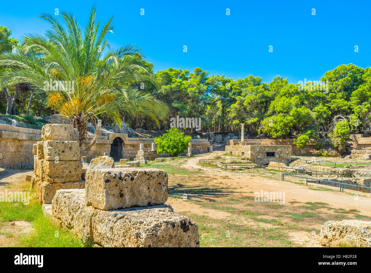 The archaeological site of amphitheatre surrounded by lush greenery ...