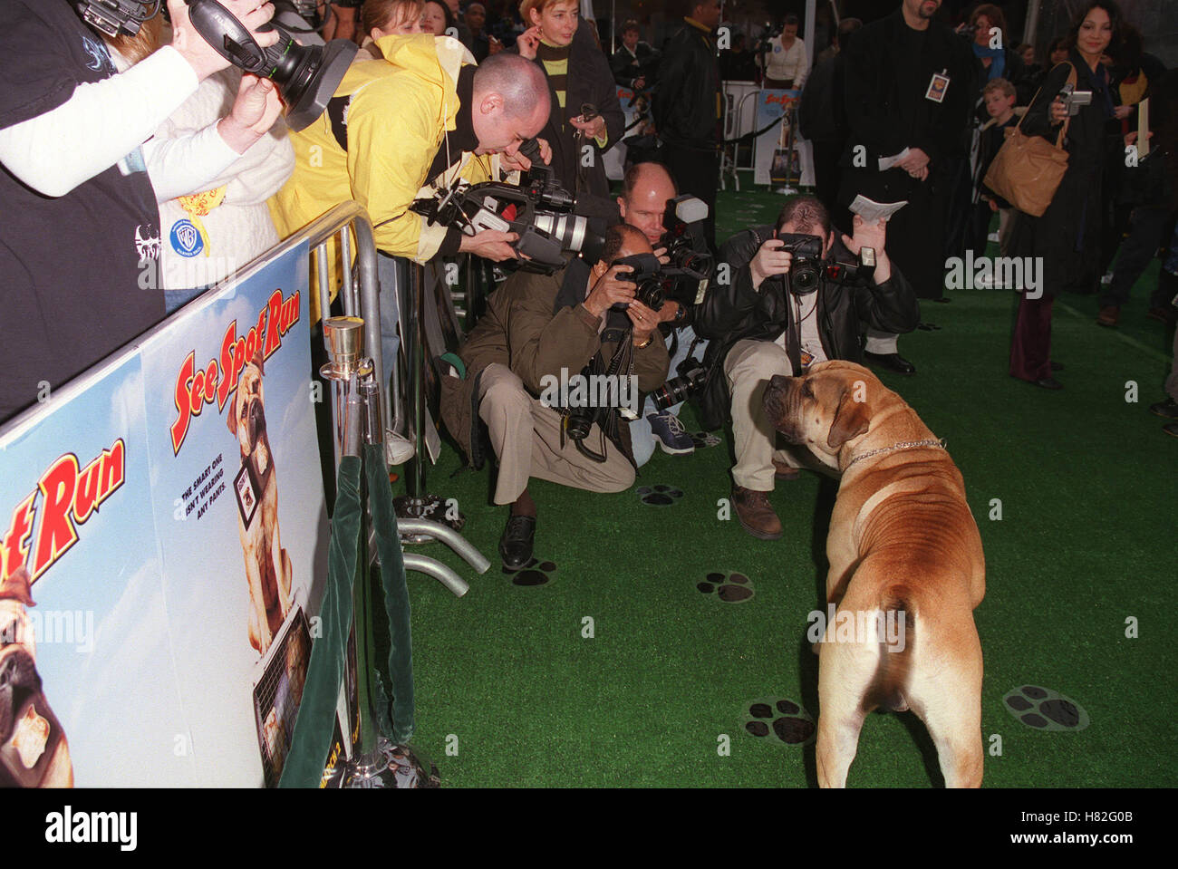 Bob press hi-res stock photography and images - Alamy