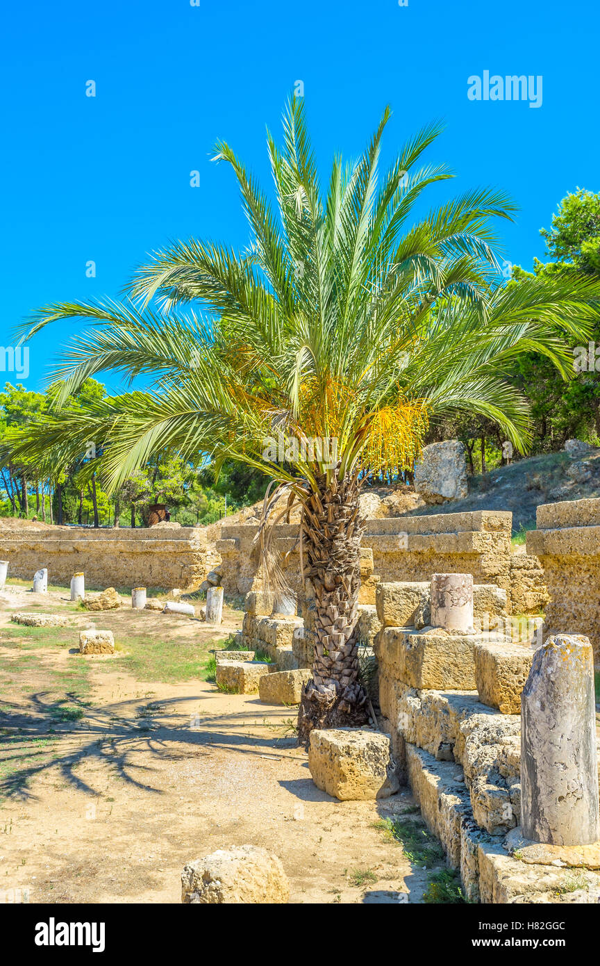 The Punic amphitheatre located in former Carthage, Tunisia Stock Photo ...