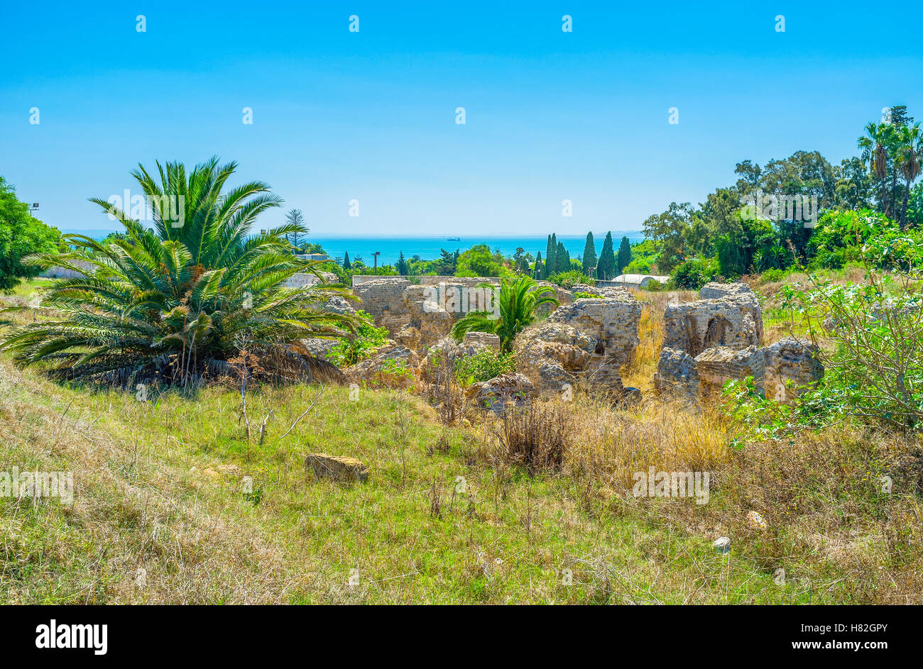 Panorama carthage ruins in archaeological hi-res stock photography and ...