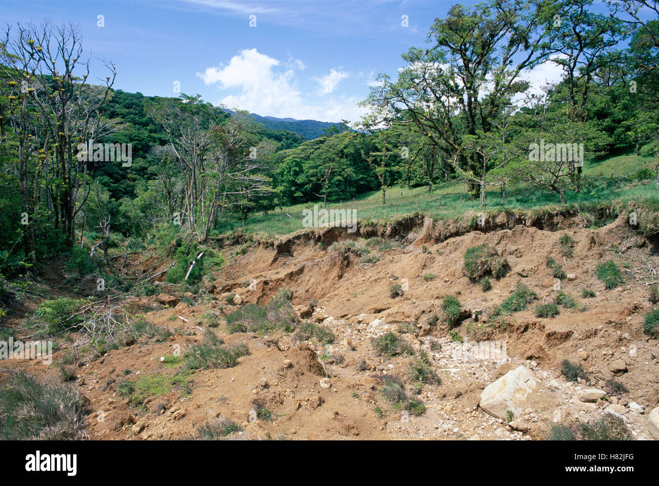 Erosion damage caused by hurricane Mitch, Monteverde Cloud Forest ...