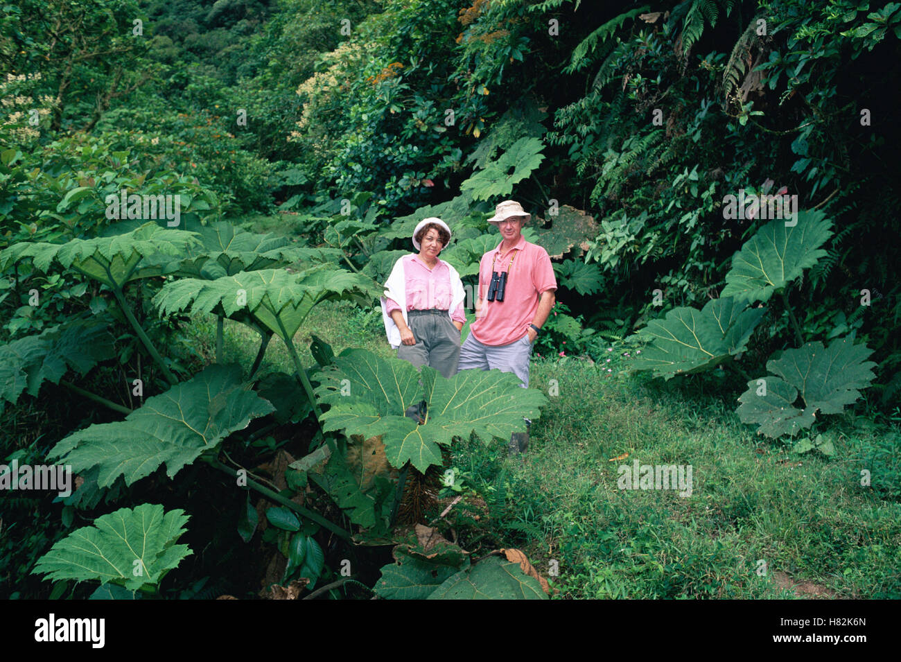 Michael and Patricia Fogden, Monteverde Cloud Forest Reserve, Costa ...
