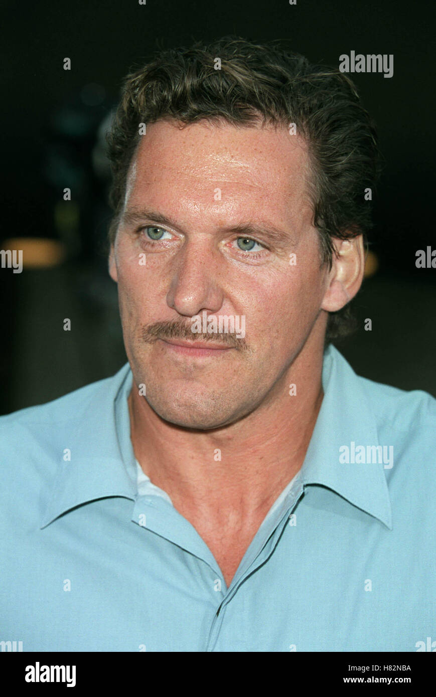 RALPH MOELLER "EVOLUTION" LA PREMIER WESTWOOD LA USA 01 June 2001 Stock ...