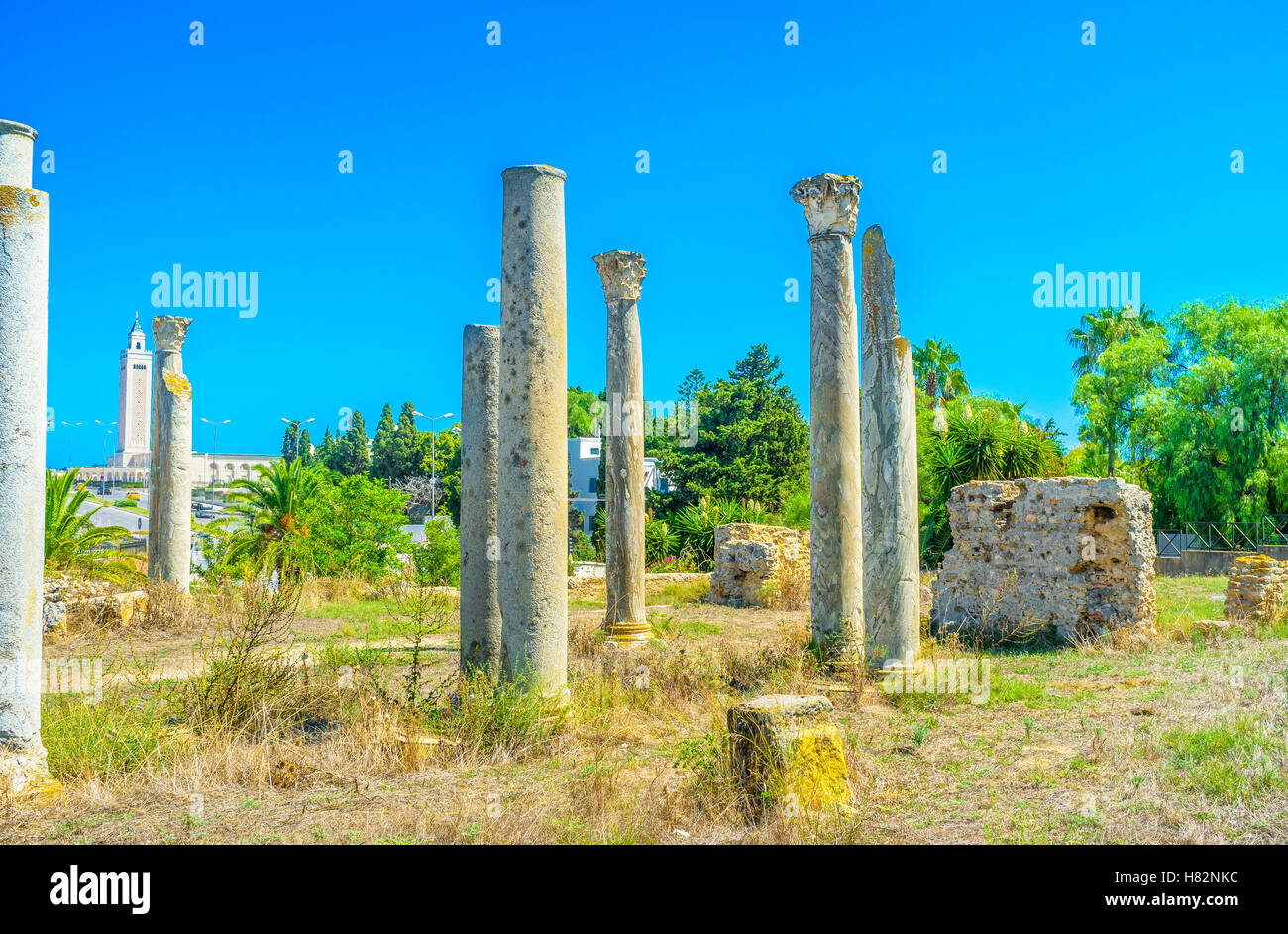 The high grey columns on the meadow are the only preserved parts of the ...