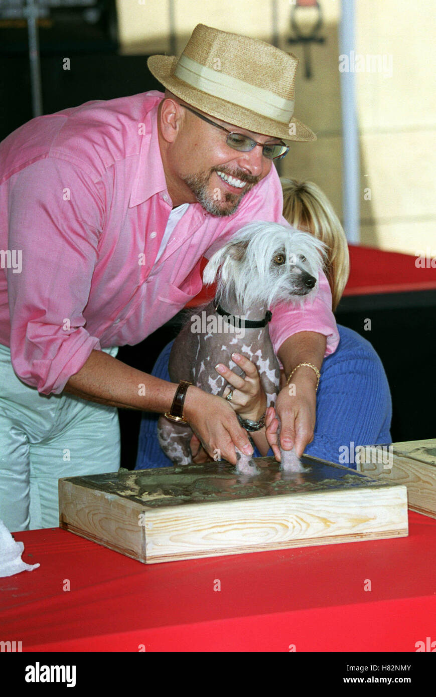 Sam Cats And Dogs 2001