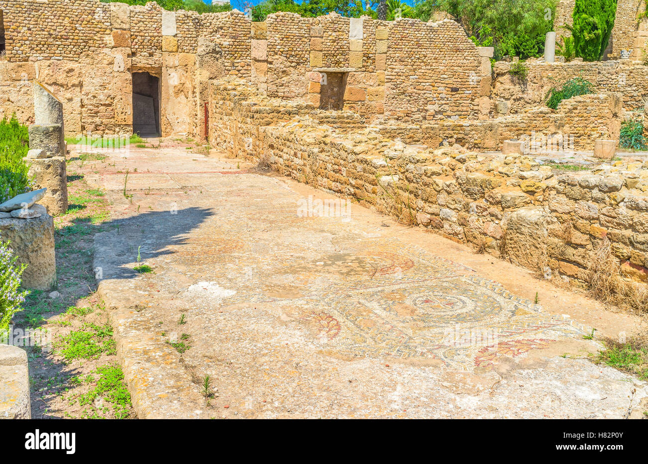 The Roman mosaics are the great examples of the antique art, Carthage ...