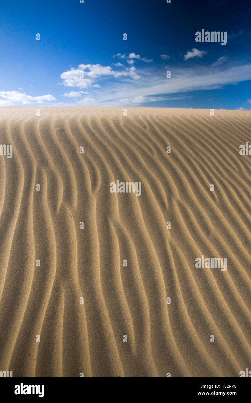 Patterns in sand, Hoenderloo, Netherlands Stock Photo - Alamy