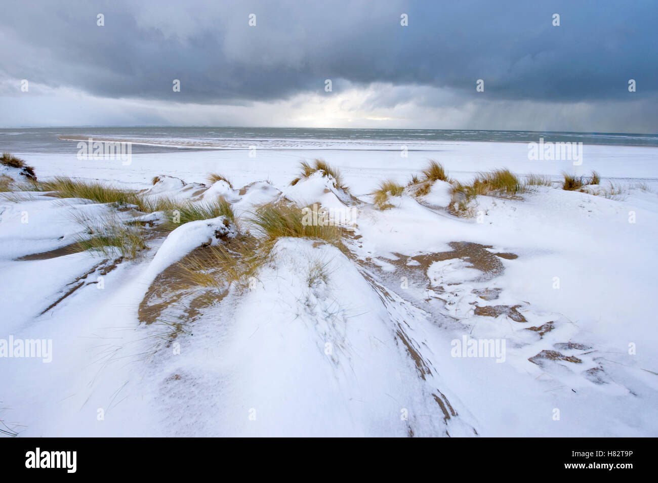 Snow on sand dunes on Maasvlakte beach, Rotterdam, Netherlands Stock ...