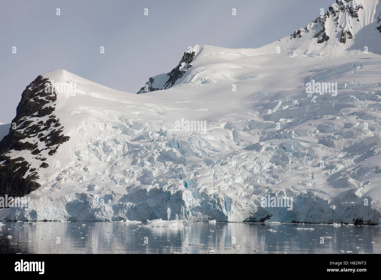 Glacier, Jougla Point, Antarctica Stock Photo - Alamy