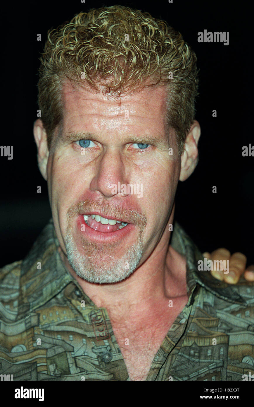 RON PERLMAN "AMELIE" FILM PREMIER LA HOLLYWOOD LA USA 09 October 2001 ...